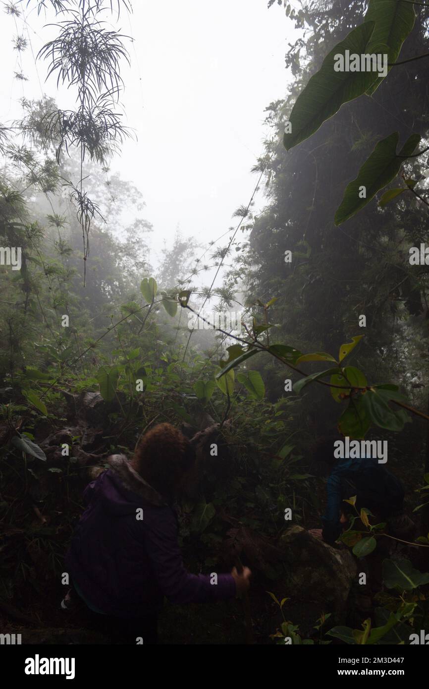 Two young couple trekking into an ancient indigenous path in middle of ...