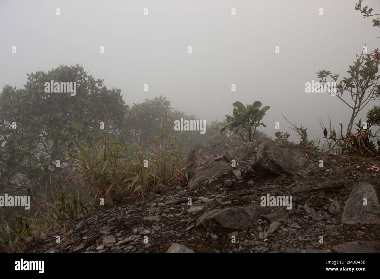 dense fog viewed from a stoned ground over a mountainviewtop at rain ...