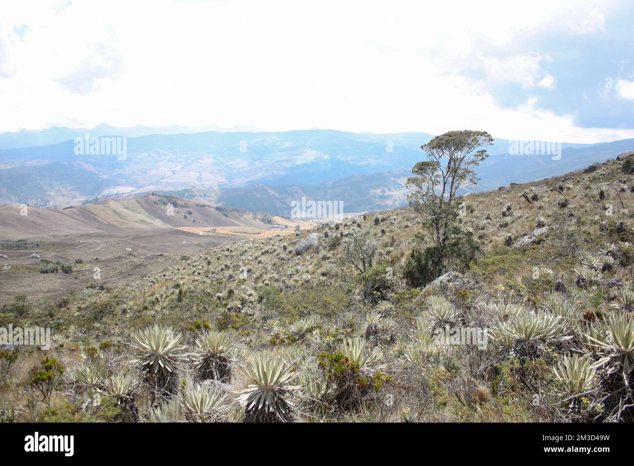 Sumapaz colombia hi-res stock photography and images - Alamy
