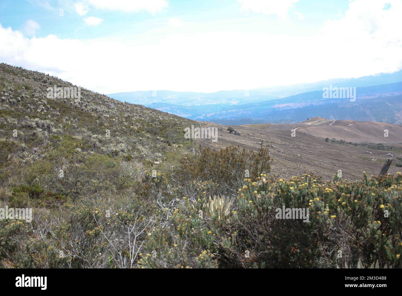 Colombian landscape mountains with Andes Mountain Rage, farms and crops ...