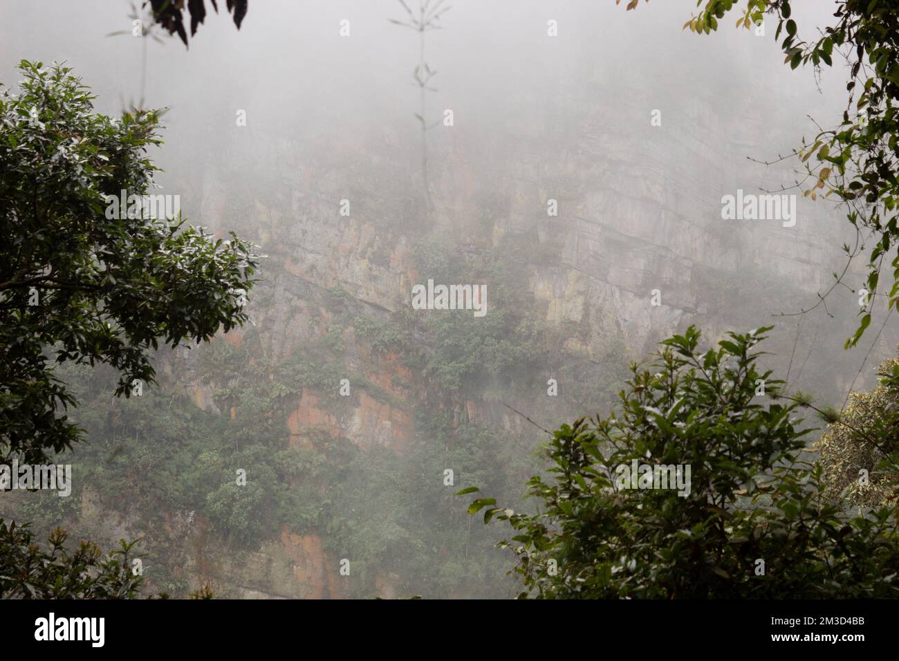 close up to a huge cliff details in middle of dense fog at rain forest ...