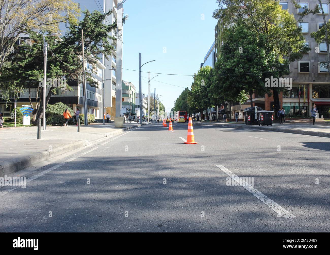 Bike Path formed with traffic cones at 15th avenue in bogota's first No ...