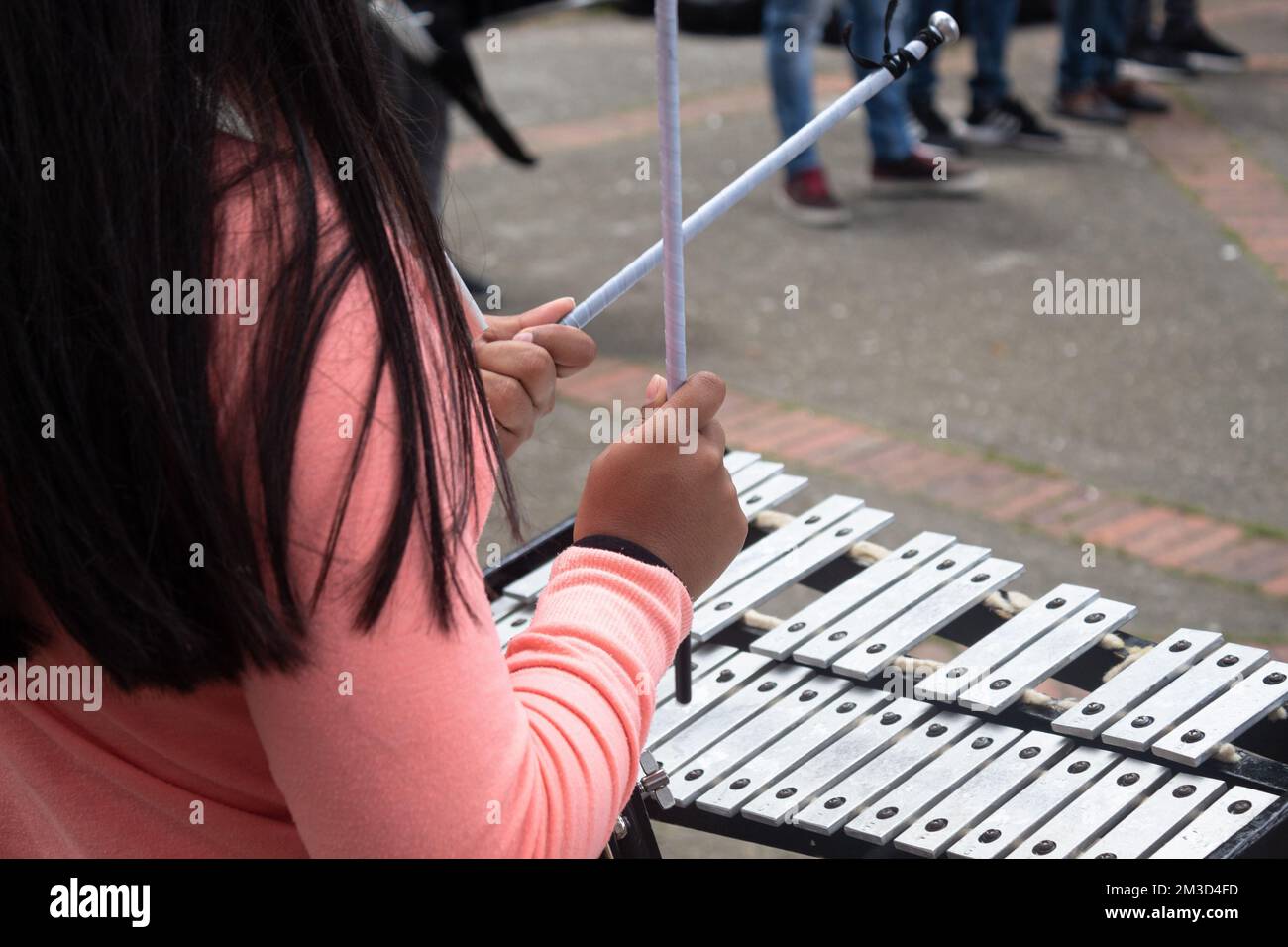 Close up for girl playing "lira" a musical instrument for a martial ...
