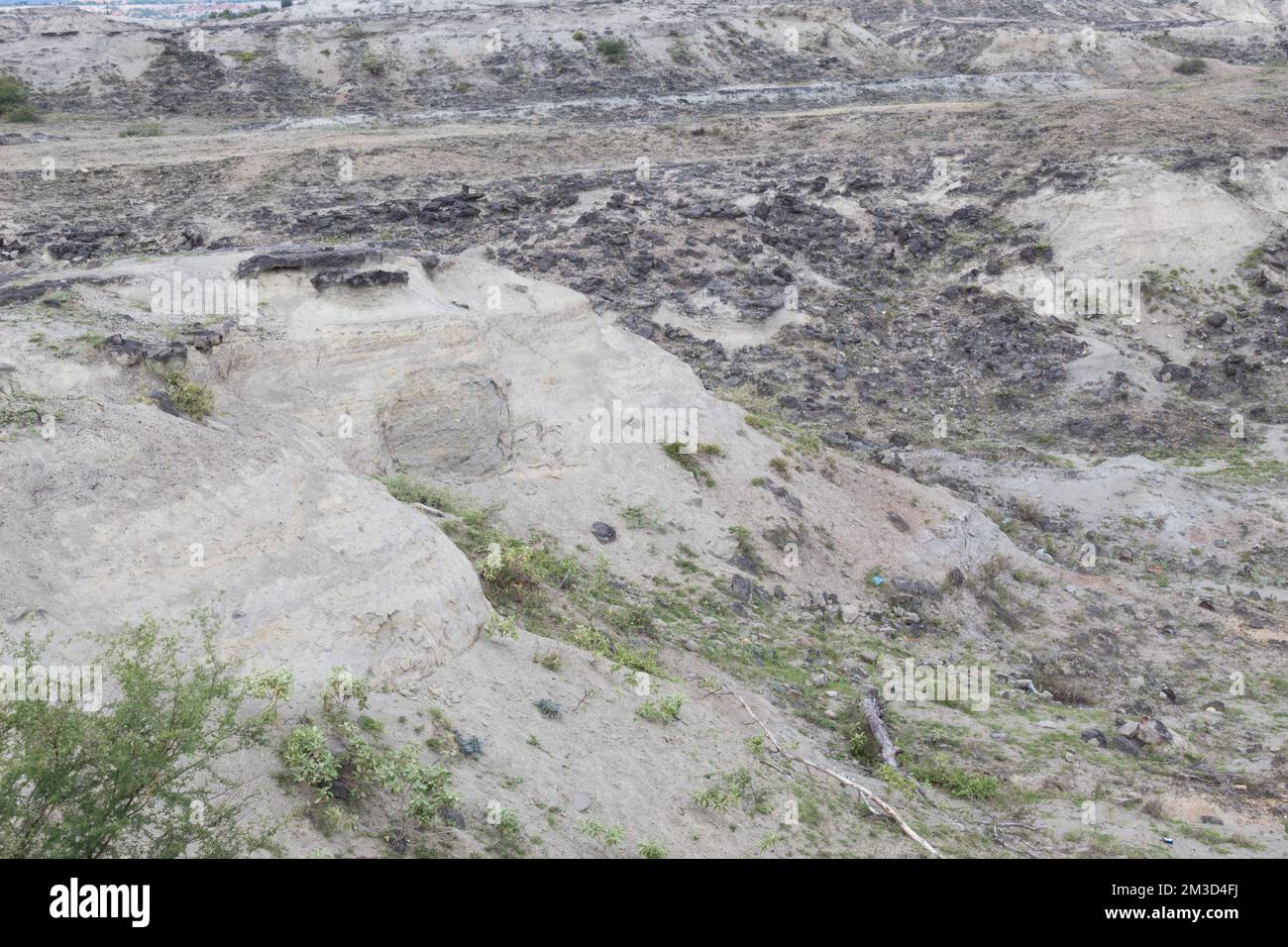 Los Hoyos dunes with forest white sand, and black rocks at Tatacoa ...