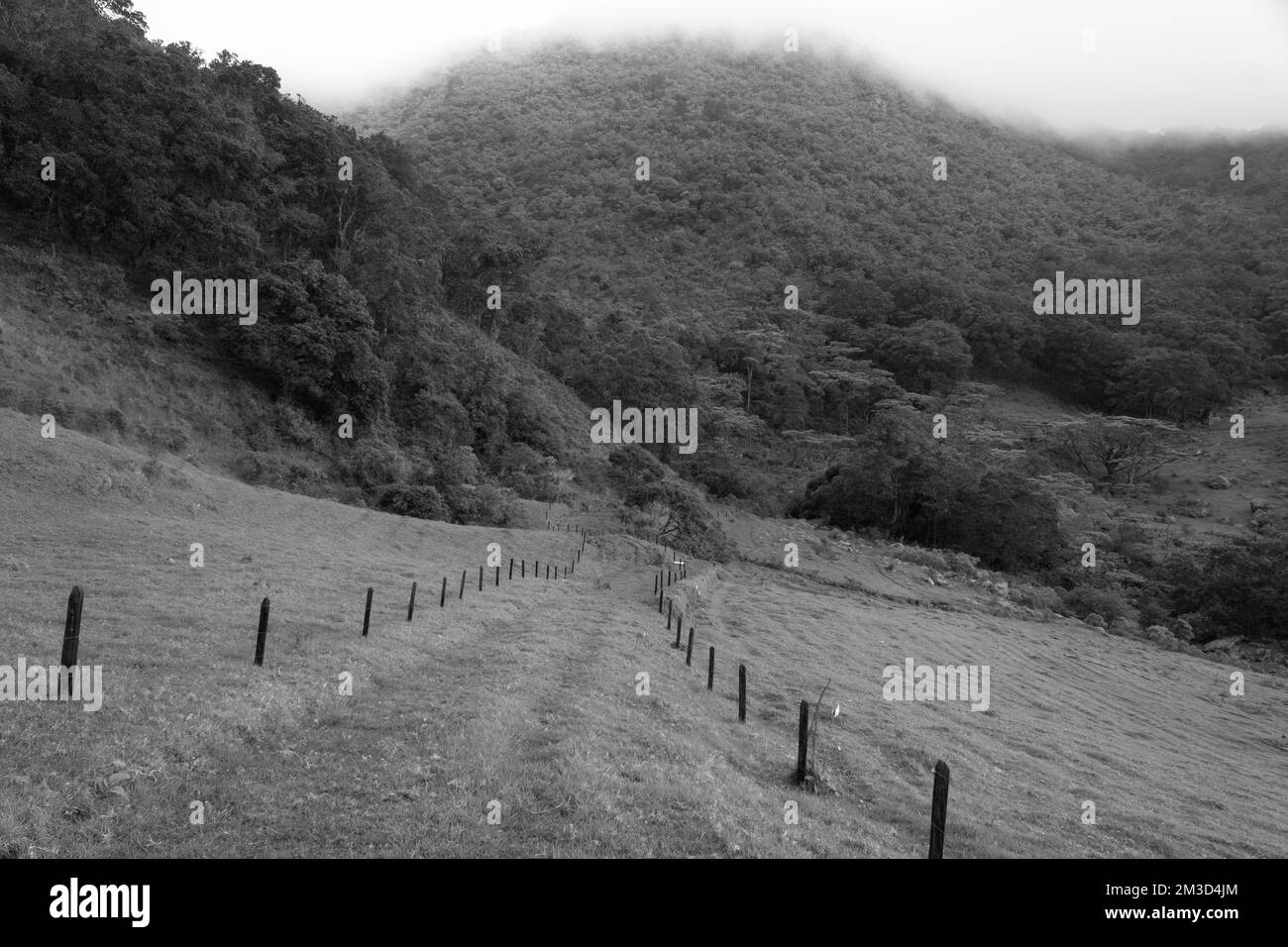 Beautiful countryside scene with an old path and forest cloudy ...