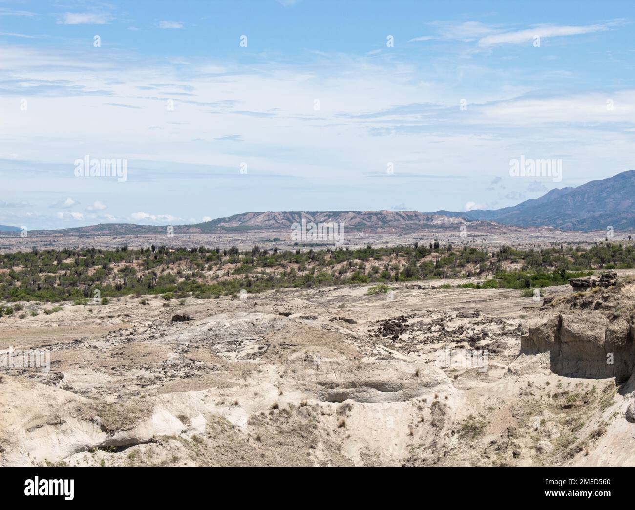 Los Hoyos plateau with forest, dunes, white sand, clouds and blue sky ...
