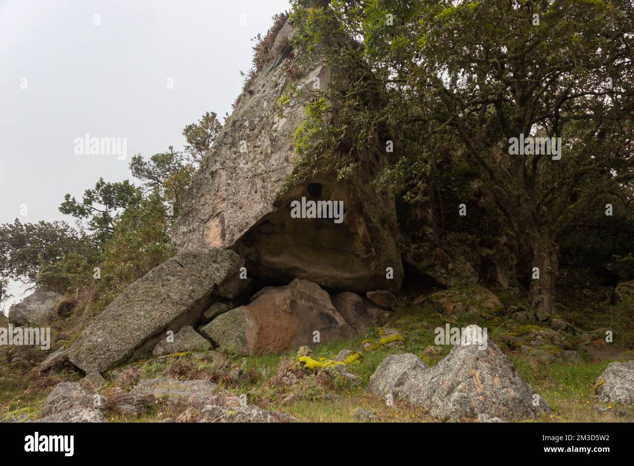 A Triangular extrange ancient monolith with a hole surrounded by trees ...
