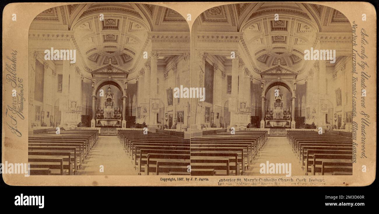 Interior St. Mary's Catholic Church, Cork, Ireland , Churches, Naves ...