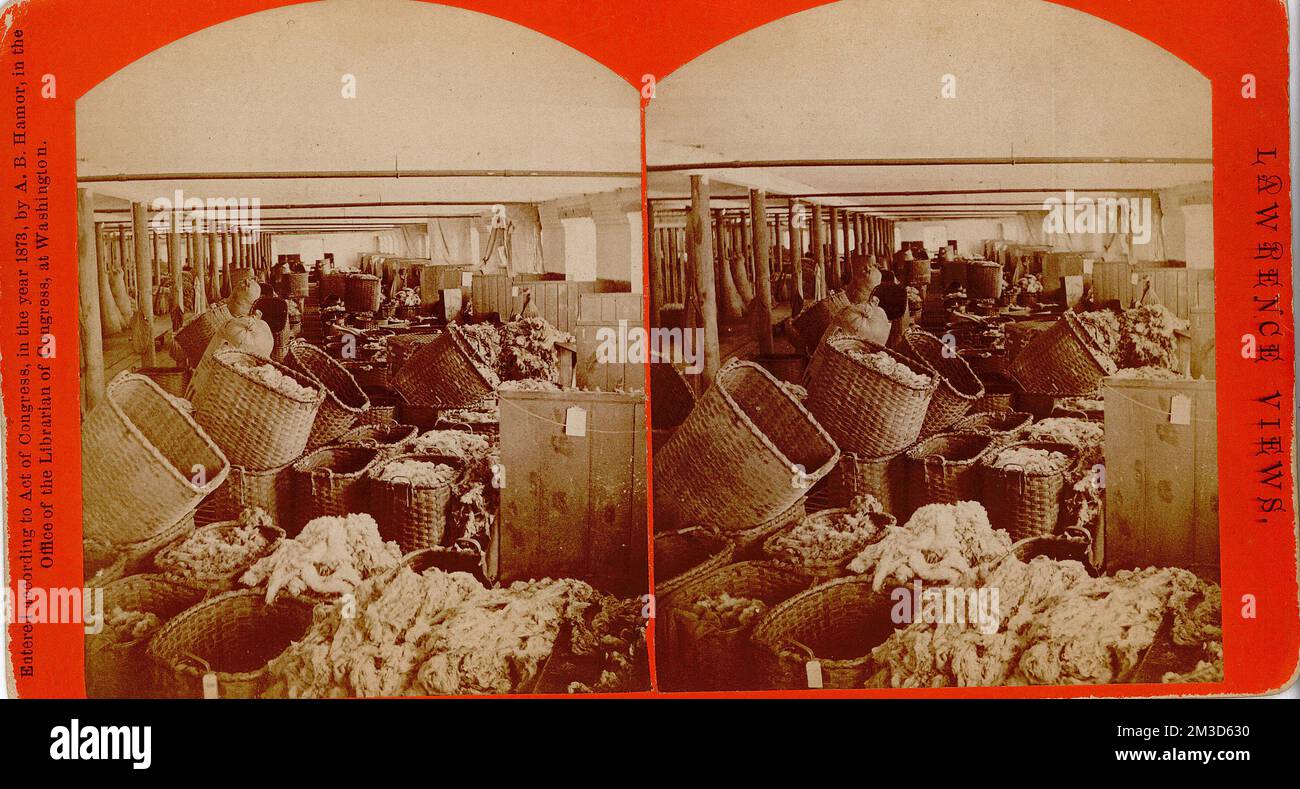 Interior view, Pacific cotton mills, wool sorting , Textile industry ...