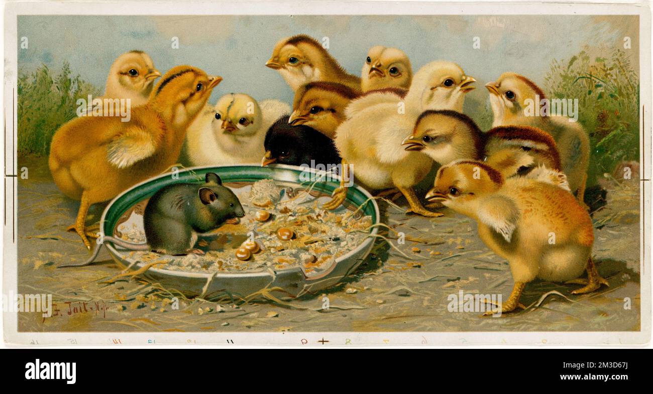 The intruder , Chickens, Mice, Animal feeding. Louis Prang & Company ...