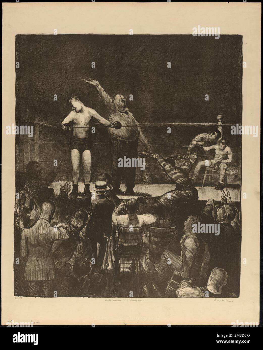 Introducing the champion , Boxers Sports, Sports spectators ...