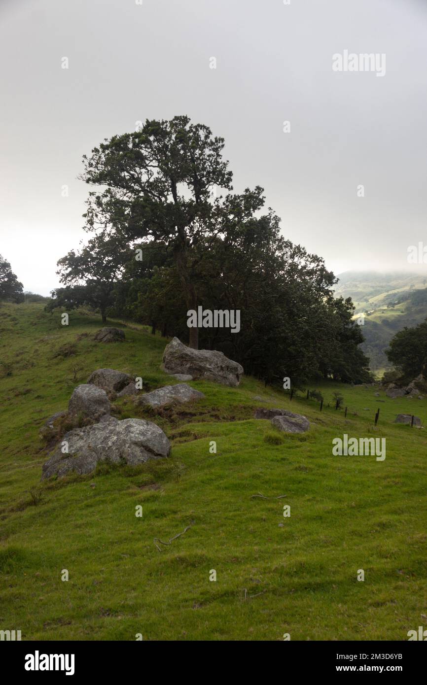 Three big stones with a huge old tree and green countryside in cloudy ...