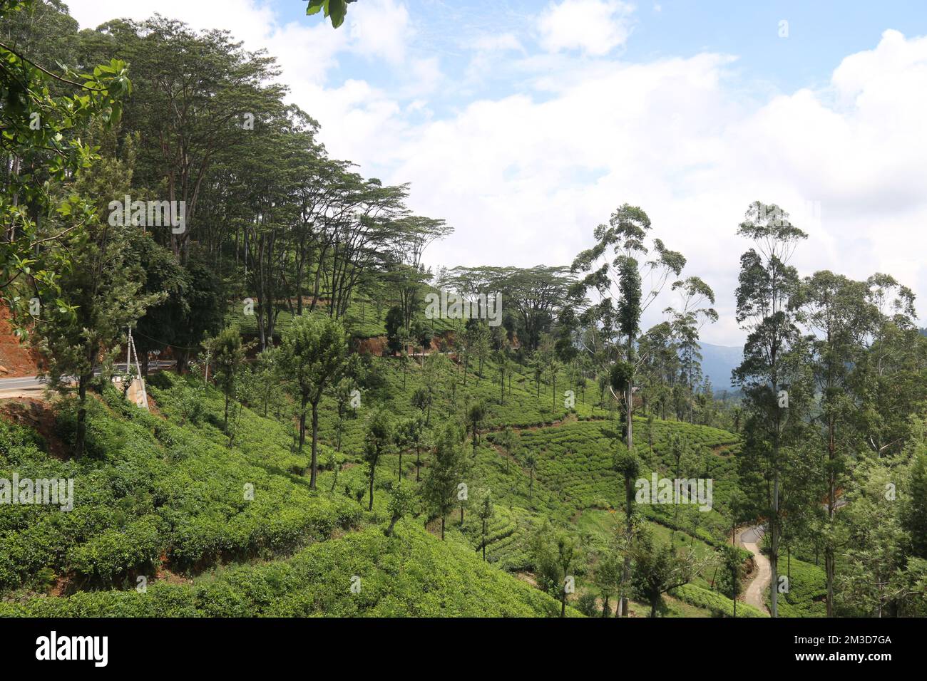 Beautiful landscape pictures in Sri Lanka. Visit Sri Lanka Stock Photo ...