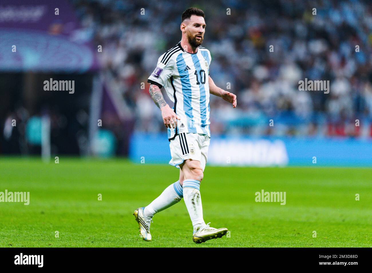 LUSAIL, QATAR - DECEMBER 13: Argentina forward Lionel Messi during the ...