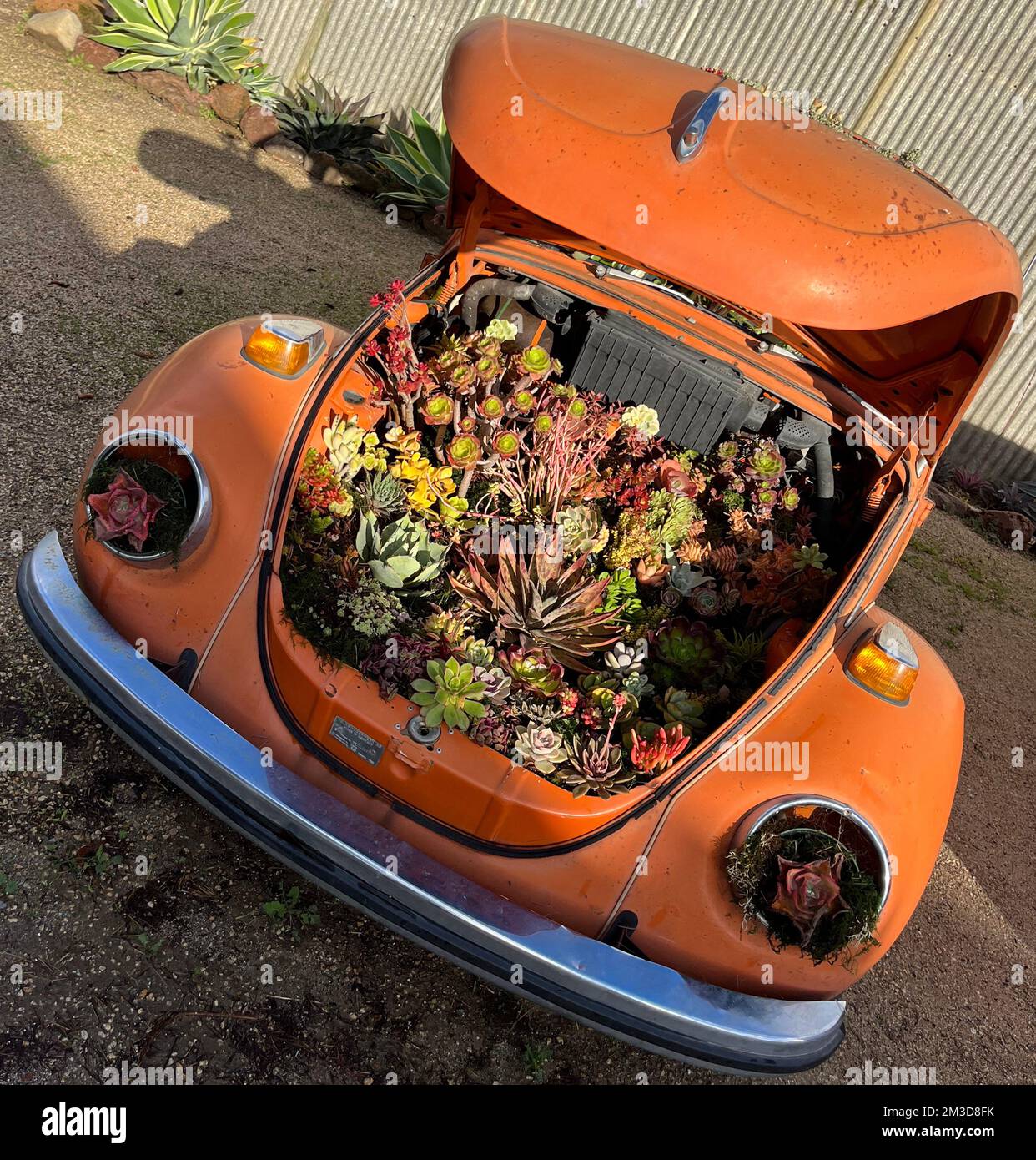 A old defunct vw beetle hi-res stock photography and images - Alamy