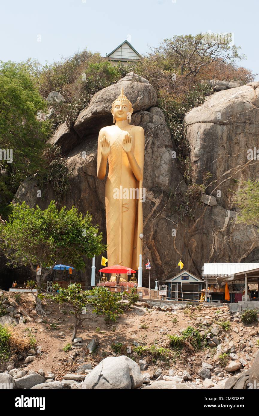 Outdoor Standing golden Buddha statue with a height 16 meters on Wat ...