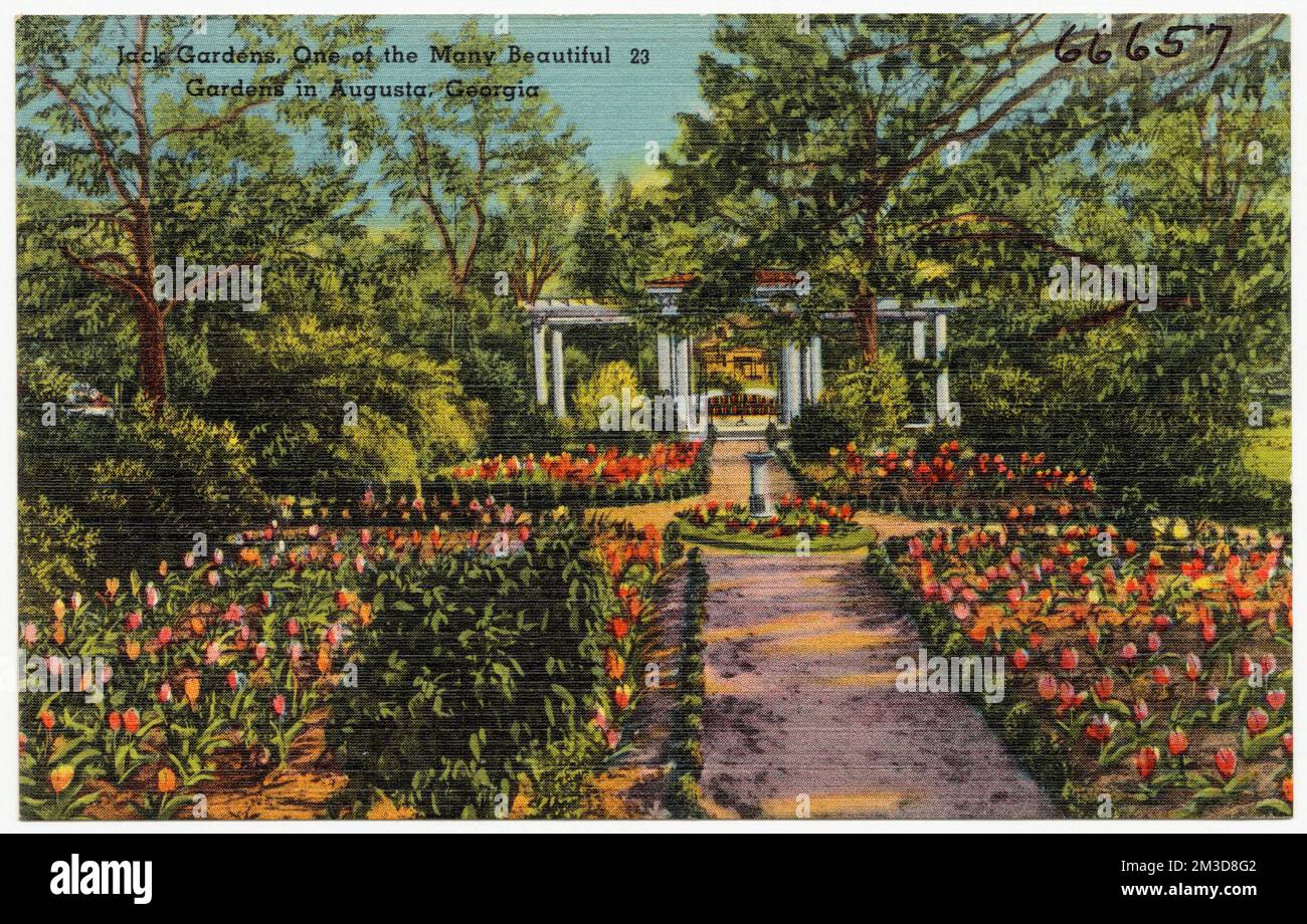 Jack Gardens, one of the many beautiful gardens in Augusta, Georgia ...