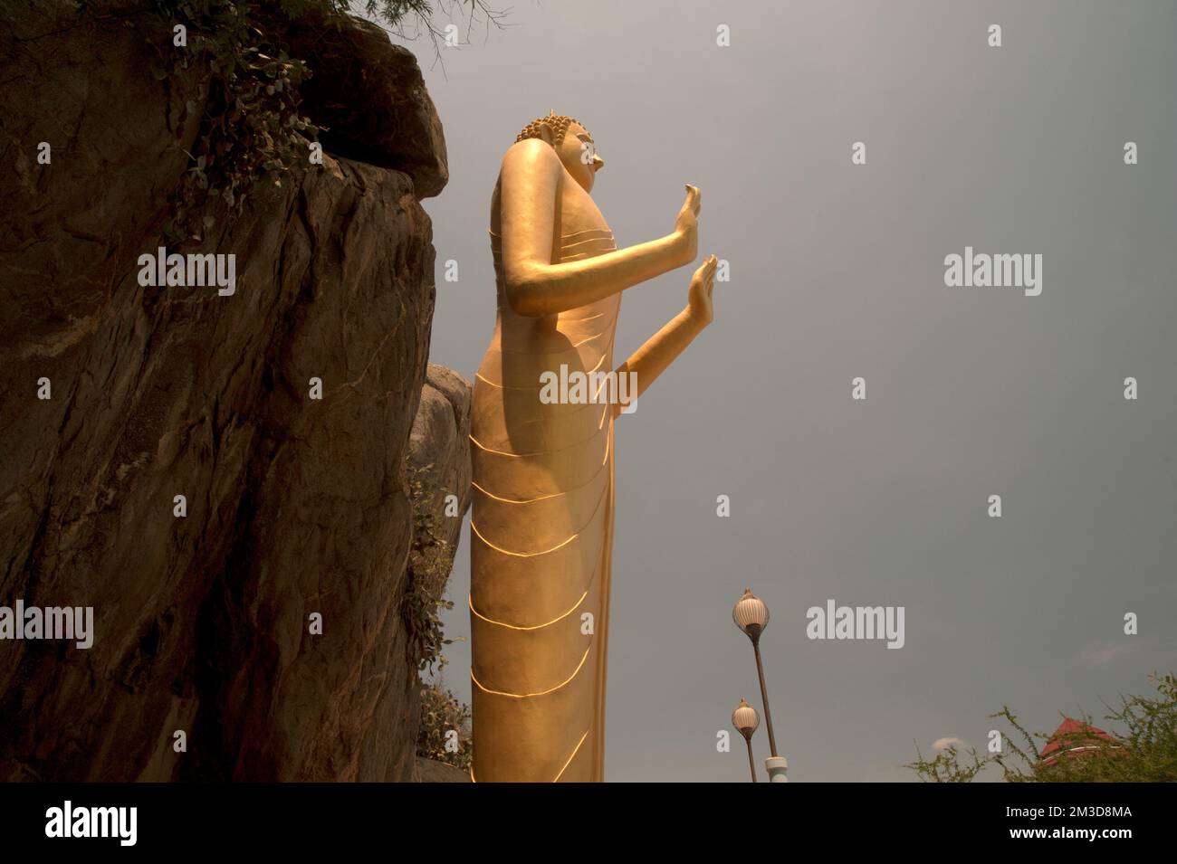 Outdoor Standing golden Buddha statue with a height 16 meters on Wat ...