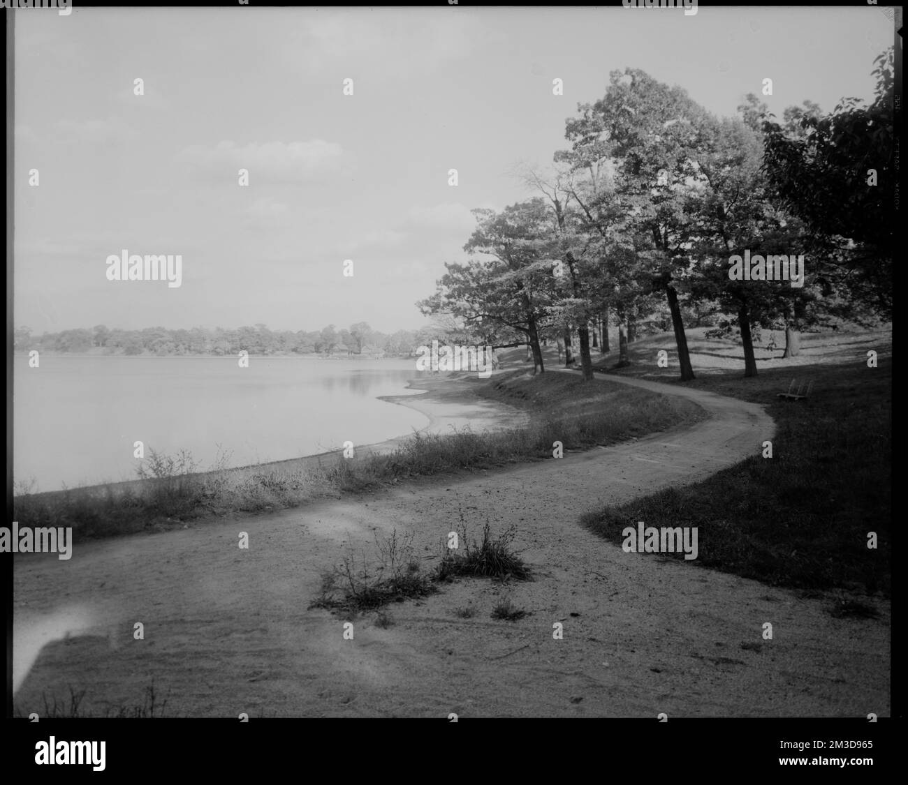 Jamaica Pond , Trails & paths, Trees, Lakes & ponds. Leon Abdalian ...