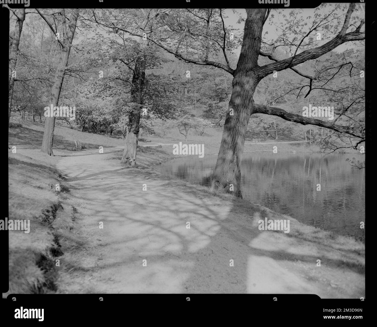 Jamaica Pond , Trails & paths, Trees, Lakes & ponds. Leon Abdalian ...