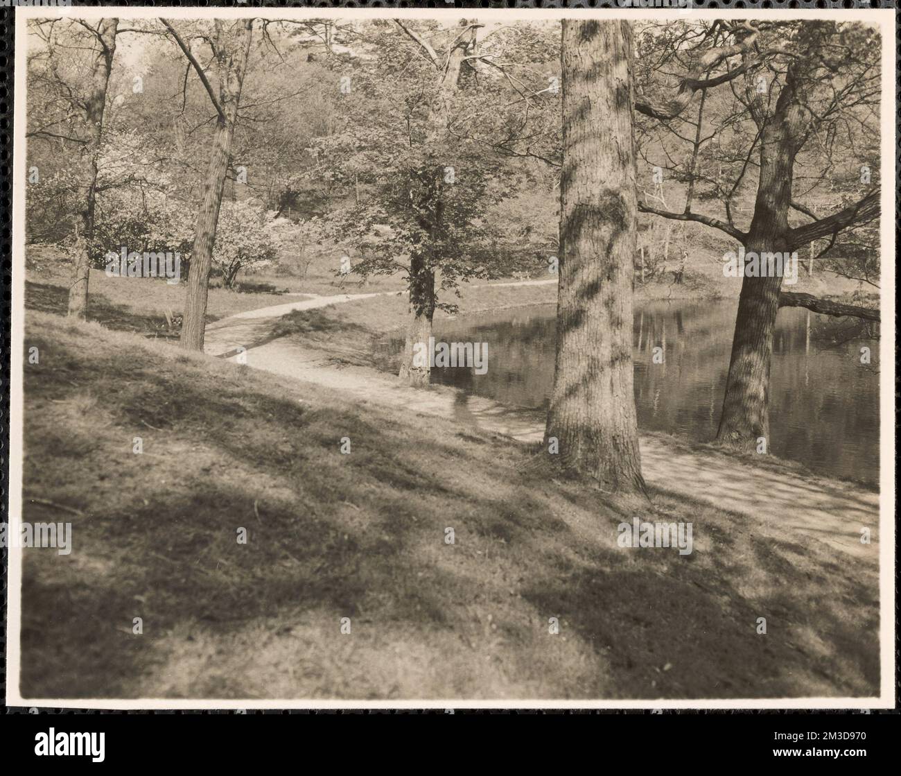 Jamaica Pond , Trails & paths, Trees, Lakes & ponds. Leon Abdalian ...