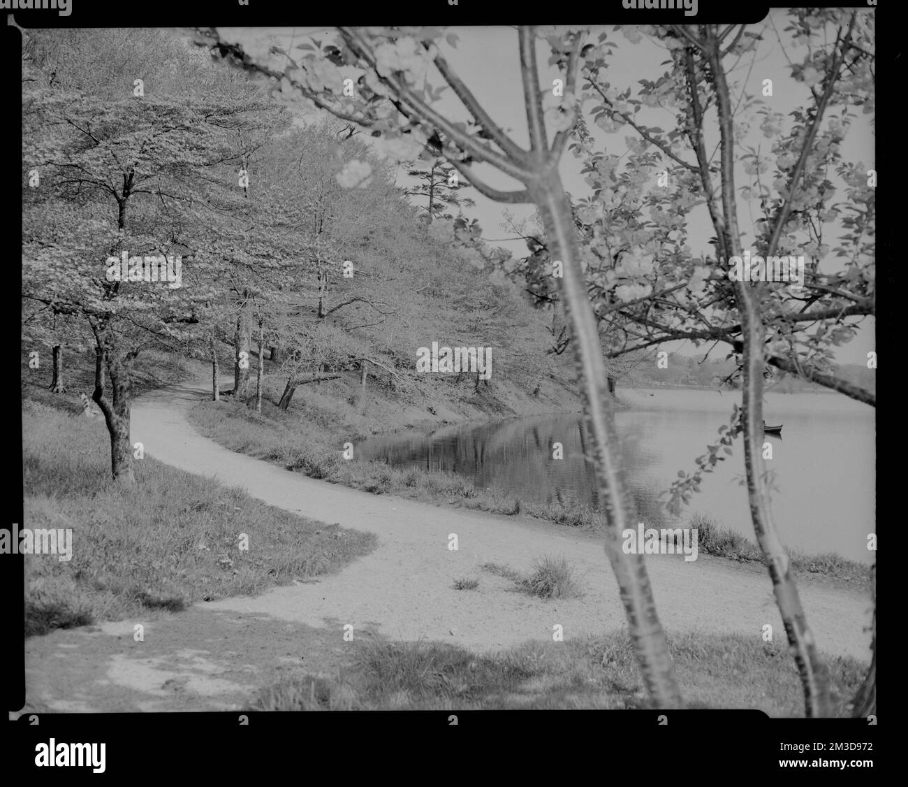 Jamaica Pond , Trails & paths, Trees, Lakes & ponds. Leon Abdalian ...