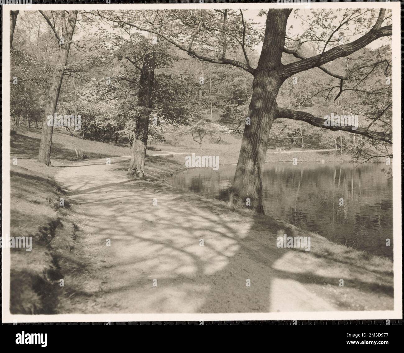Jamaica Pond , Trails & paths, Trees, Lakes & ponds. Leon Abdalian ...