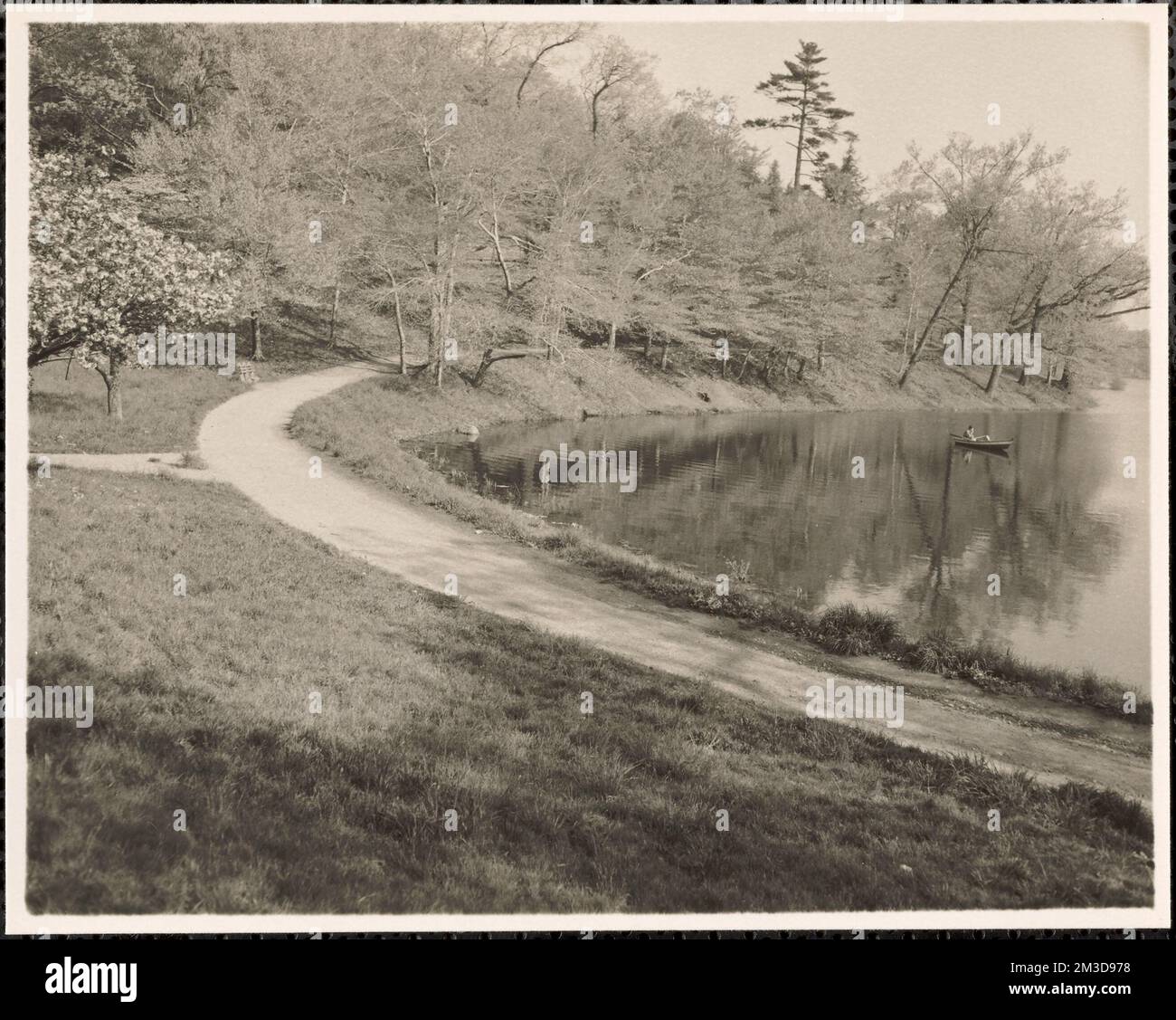 Jamaica Pond , Trails & paths, Trees, Lakes & ponds. Leon Abdalian ...