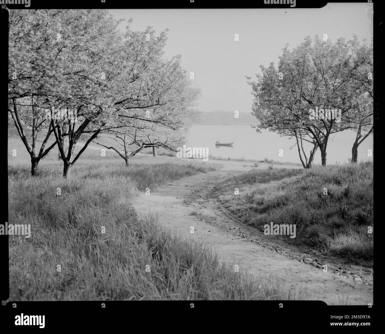 Jamaica Pond , Trails & paths, Cherry trees, Lakes & ponds, Boats. Leon ...