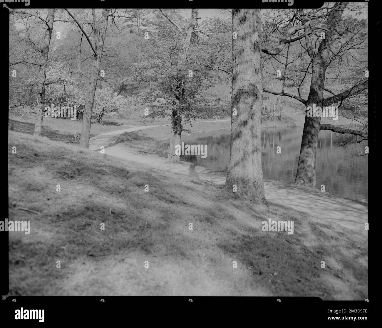 Jamaica Pond , Trails & paths, Trees, Lakes & ponds. Leon Abdalian ...
