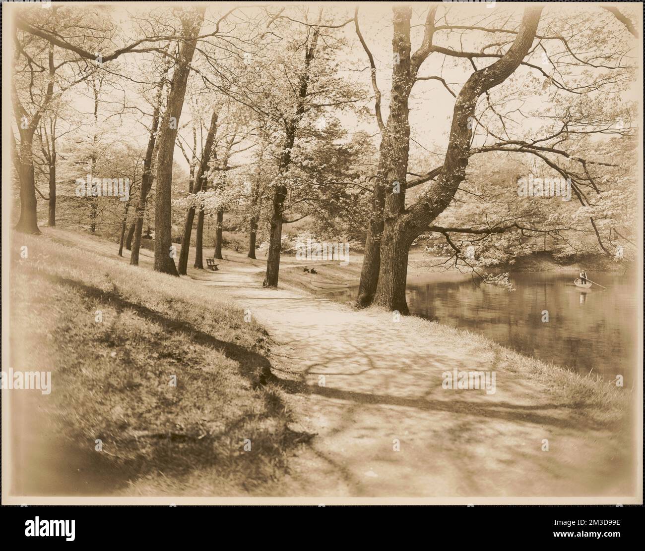 Jamaica Pond view , Lakes & ponds, Trails & paths. Leon Abdalian ...