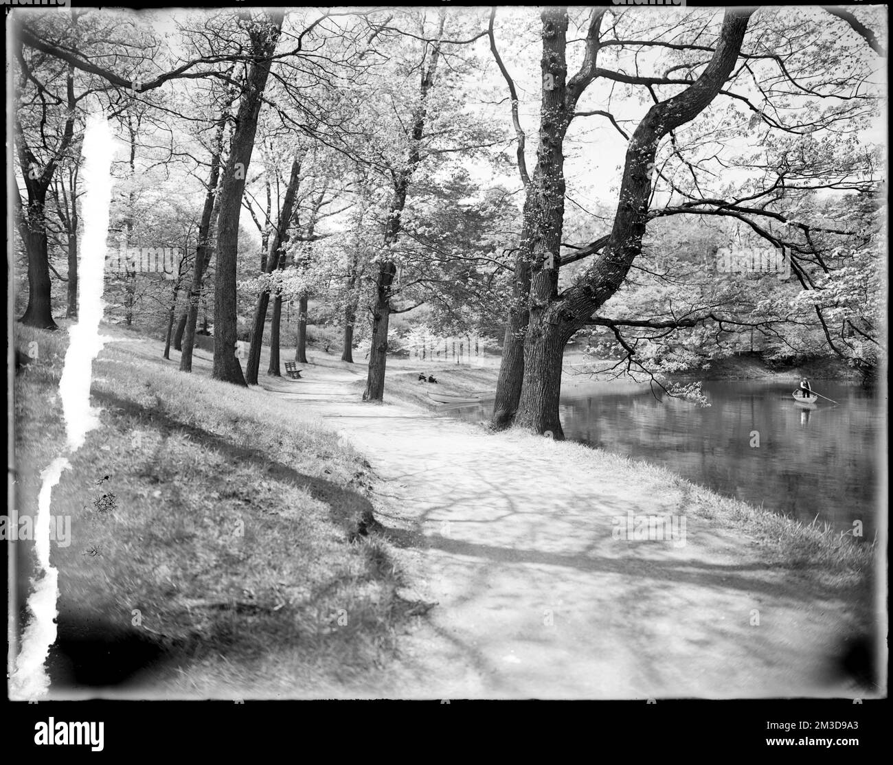 Jamaica Pond view , Lakes & ponds, Trails & paths. Leon Abdalian ...