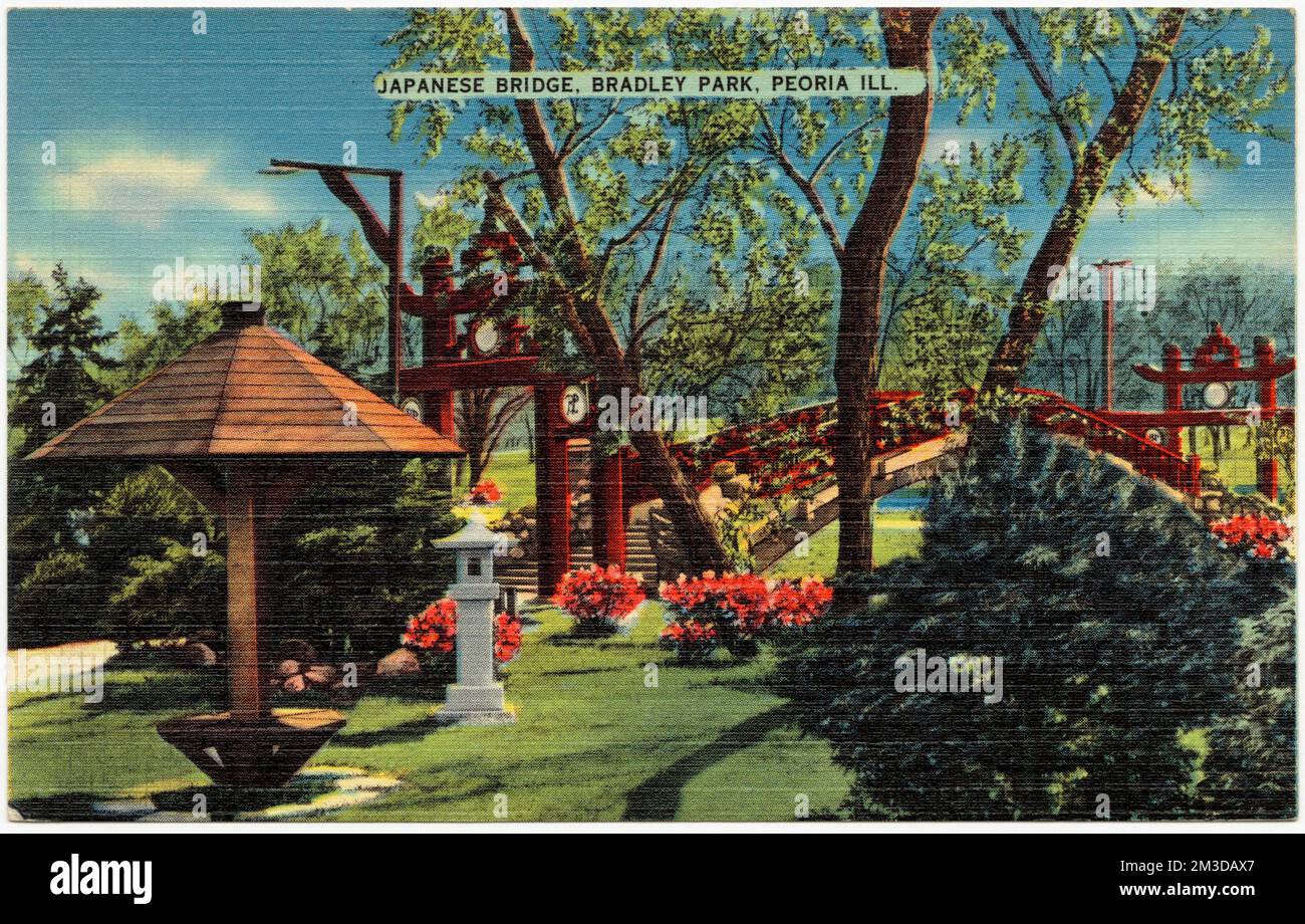 Japanese bridge, Bradley Park, Peoria Ill. , Bridges, Parks, Tichnor ...