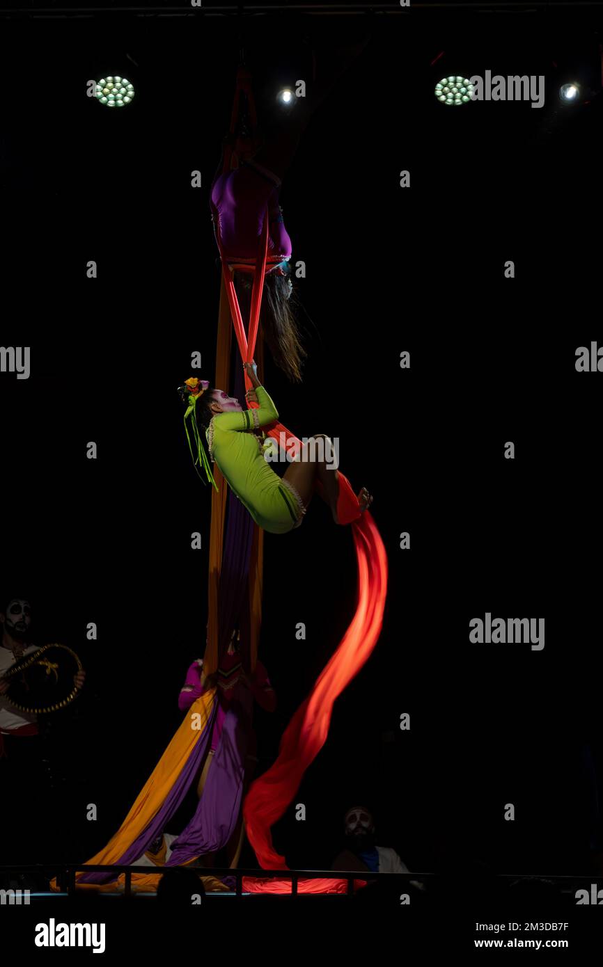 Professional aerialist circus performer on red bright aerial silks ...