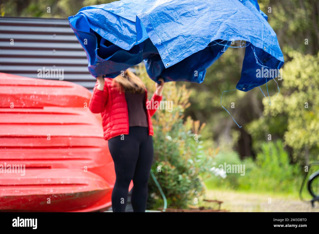 woman folding up a tarp at a campground in australia. camping tant and ...
