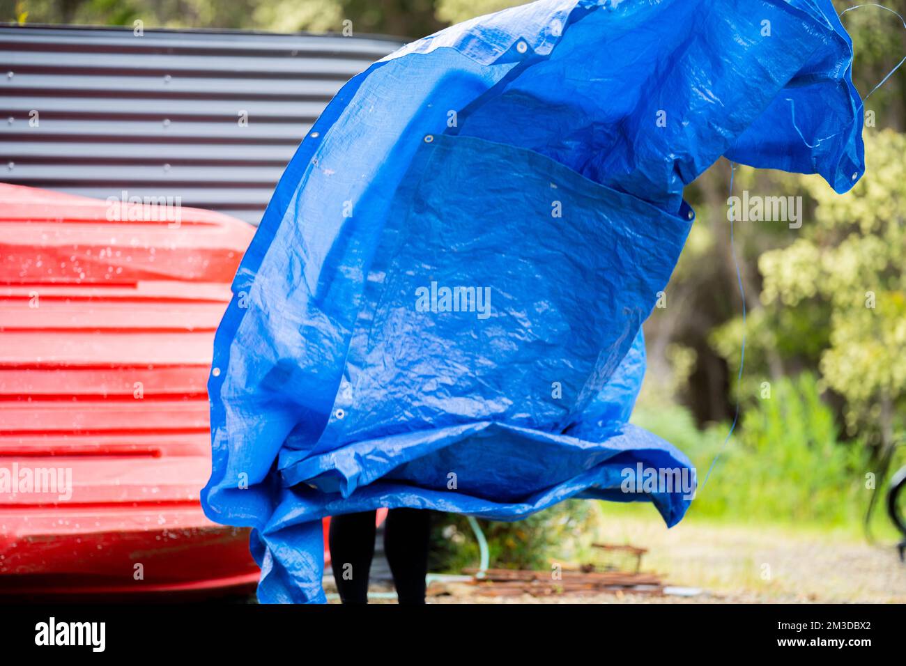woman folding up a tarp at a campground in australia. camping tant and ...
