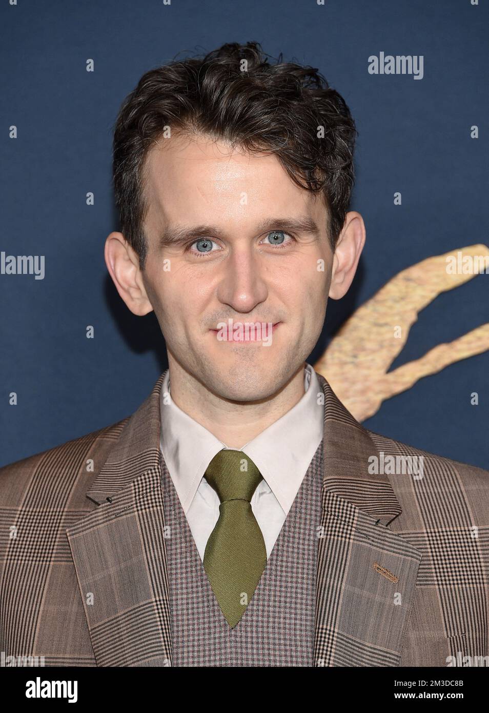 Los Angeles, USA. 14th Dec, 2022. Harry Melling arriving to Netflix’s ...