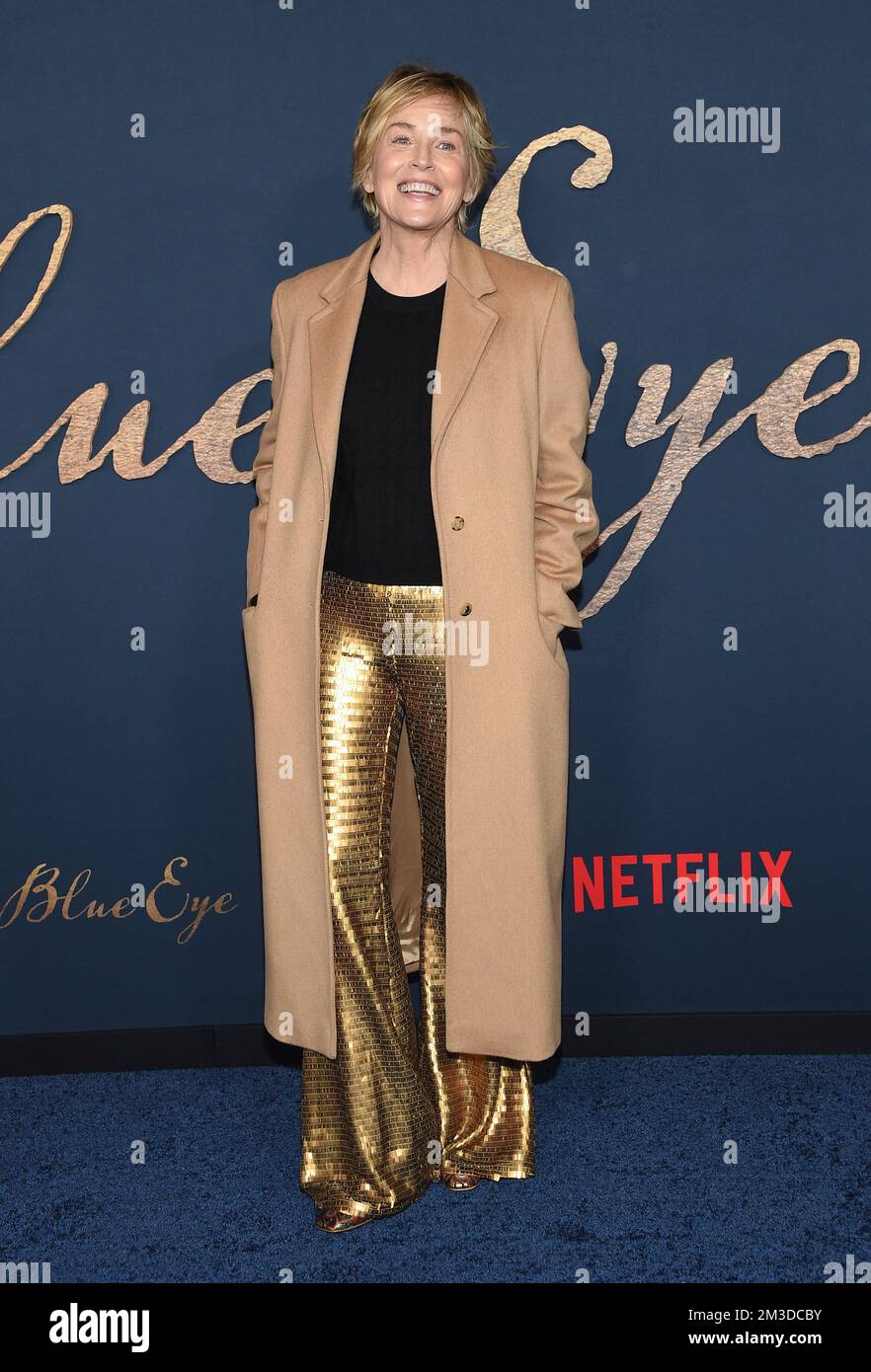 Los Angeles, USA. 14th Dec, 2022. Sharon Stone arriving to Netflix’s ...