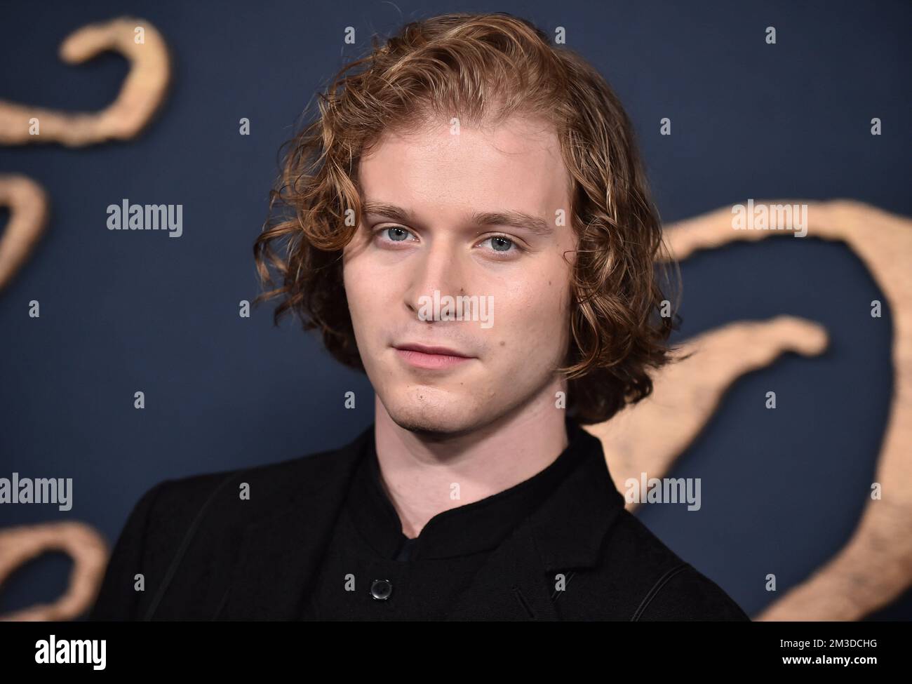 Los Angeles, USA. 14th Dec, 2022. Fred Hechinger arriving to Netflix’s ...