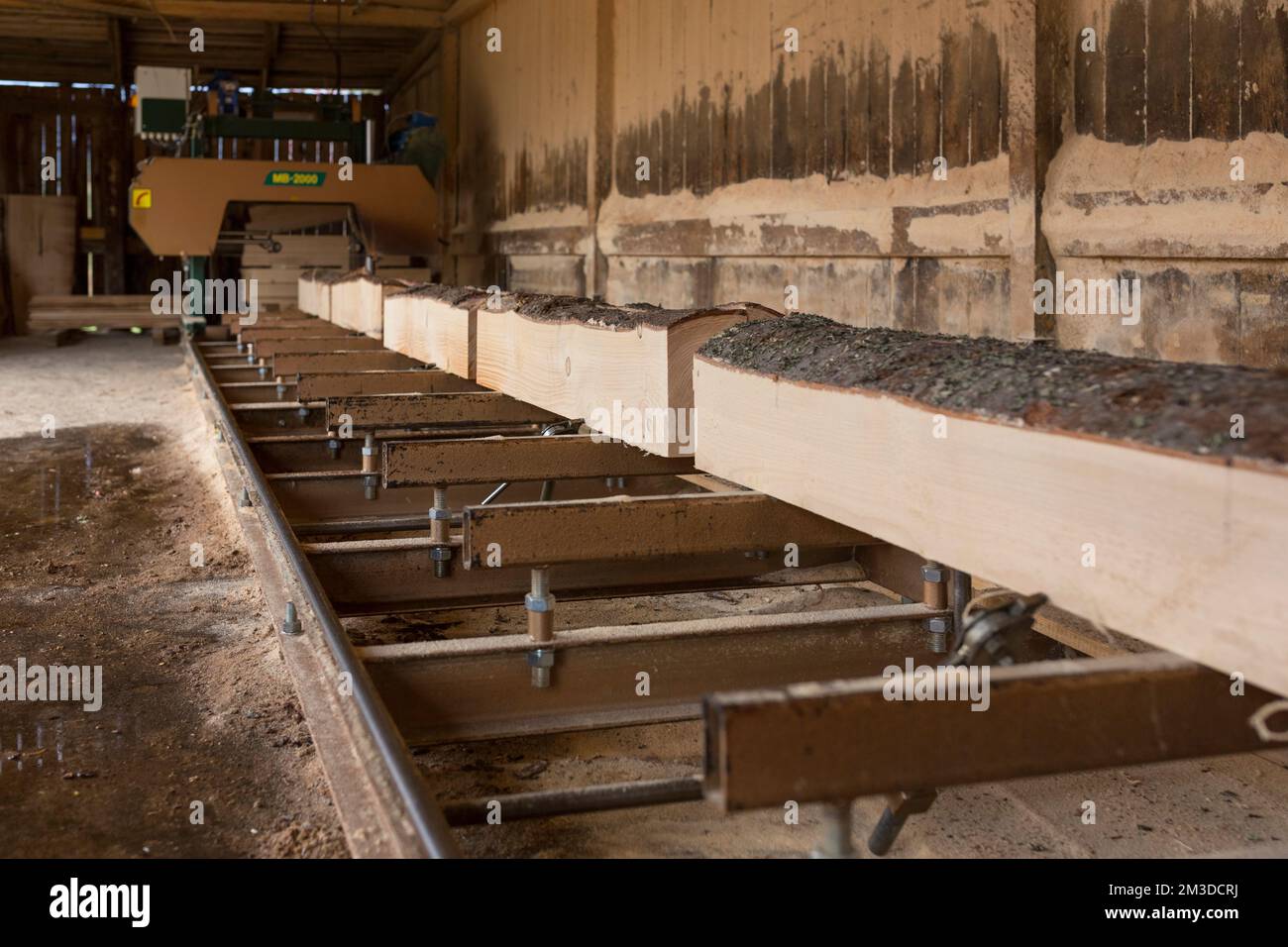 Texture. Woodworking waste. Heaps of chips, bark, pieces and sawdust ...