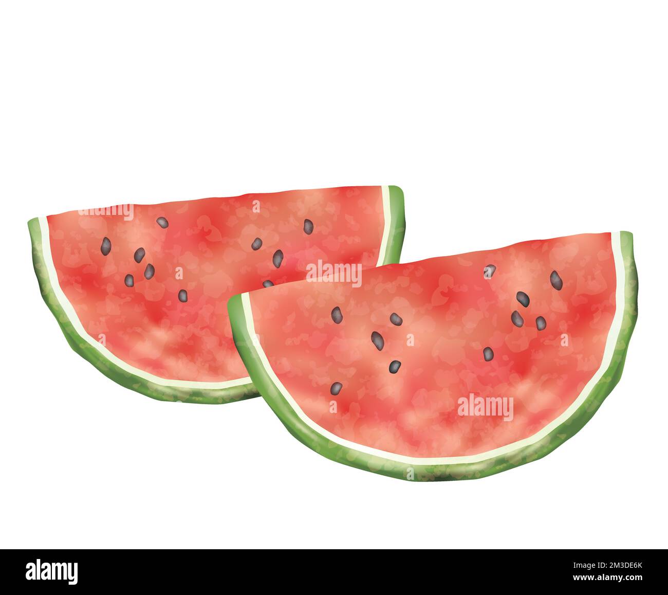 Hand-drawn vector watercolor watermelon illustration isolated on a ...