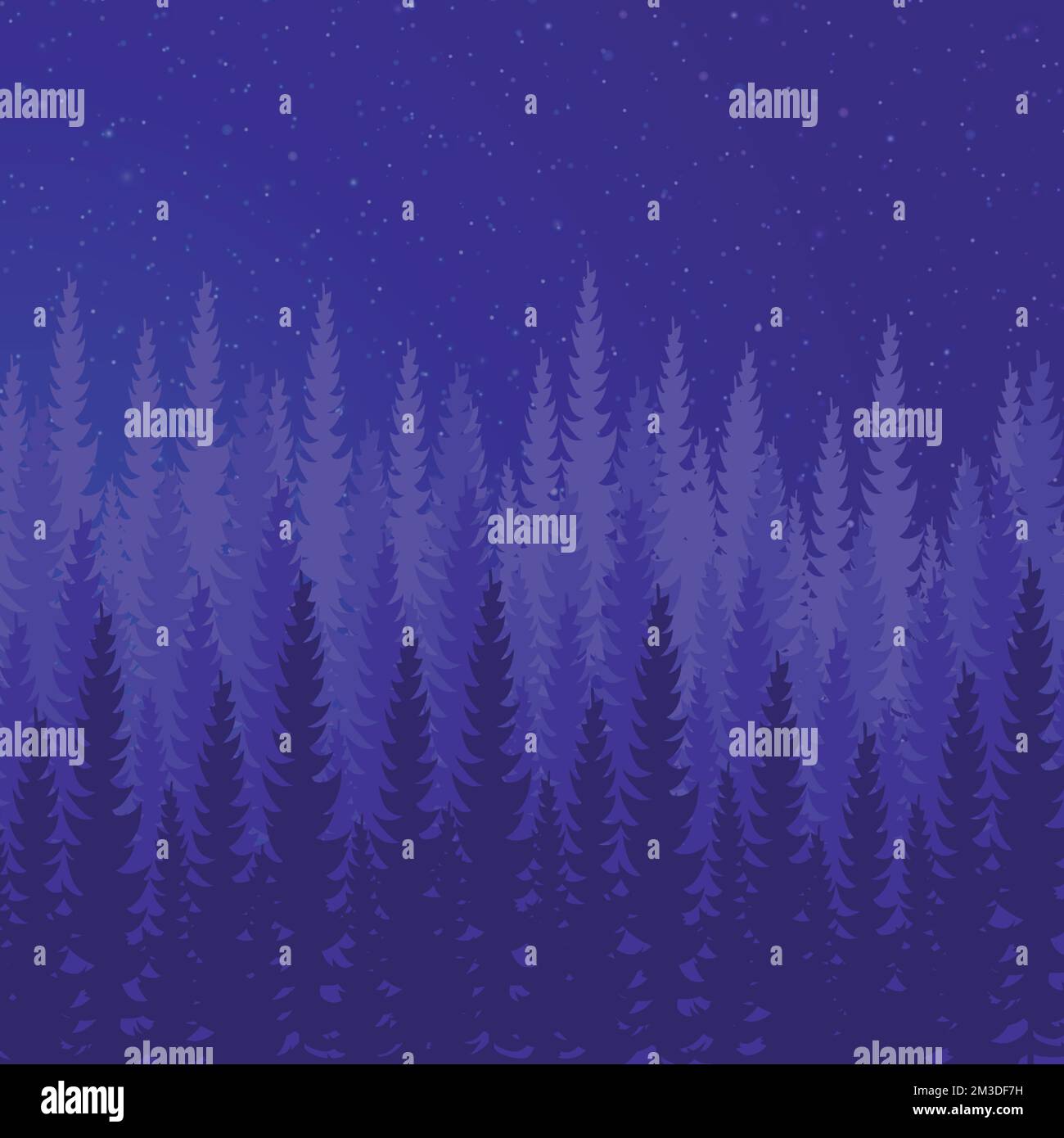 Dense night forest, fir and pine trees natural green landscape, web ...