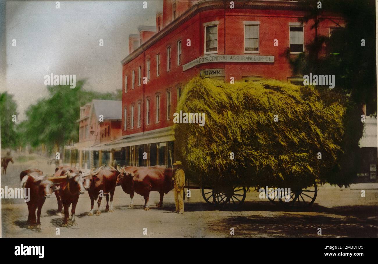 John J. Murphy driving a hay wagon through Lawrence, Mass. , Hay, Ox ...