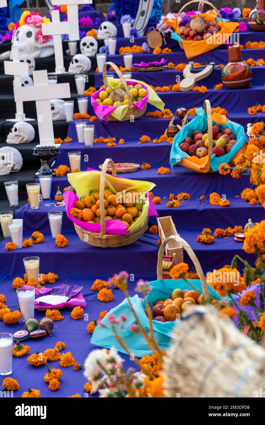 day of the dead altar, cempasuchil all over the floor in purple ...