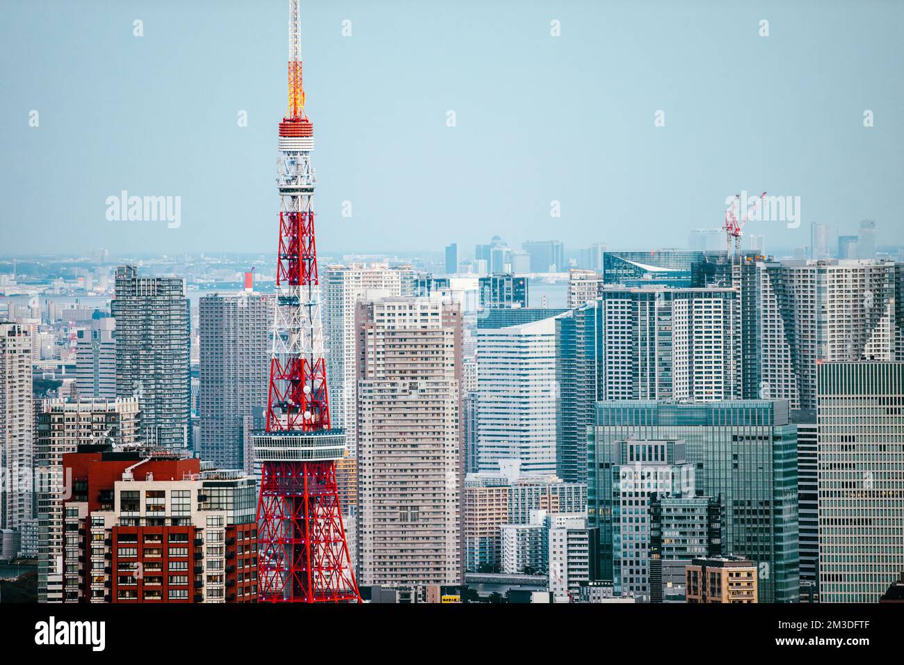 Tokyo Tower seen from the Sky Stage at Shibuya Sky Stock Photo - Alamy