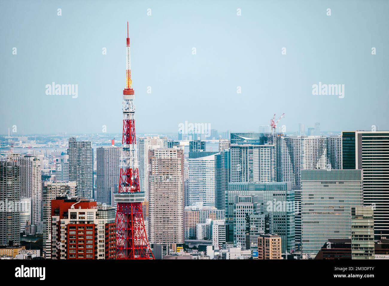 Tokyo Tower seen from the Sky Stage at Shibuya Sky Stock Photo - Alamy