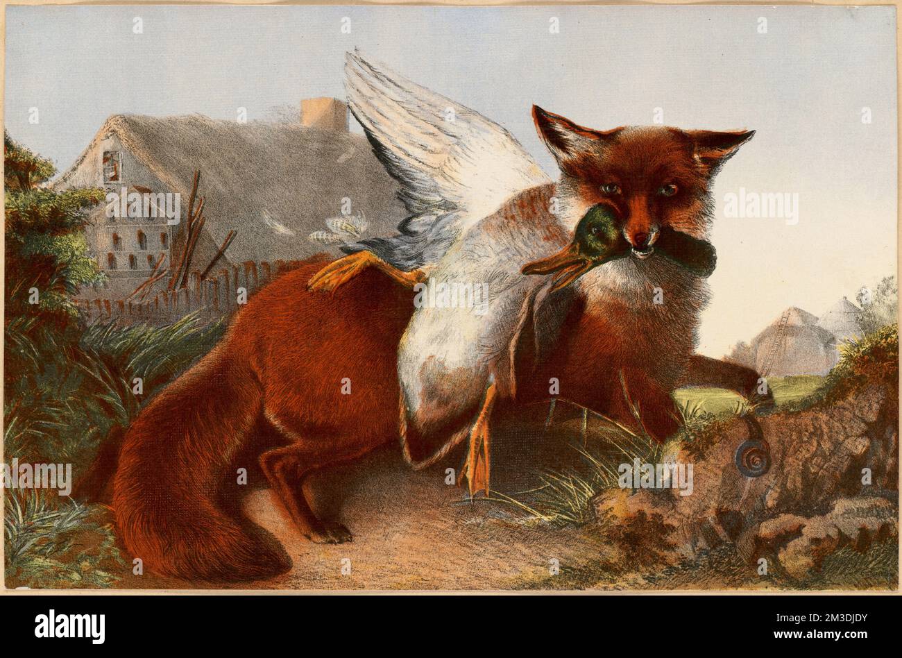 Just caught , Foxes, Ducks, Hunting. Louis Prang & Company Collection ...