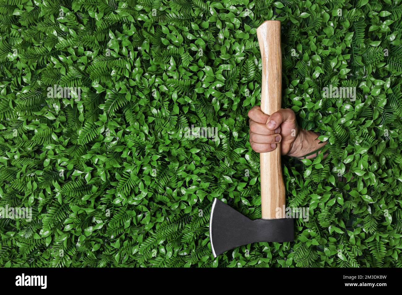 Hand holding ax hi-res stock photography and images - Alamy
