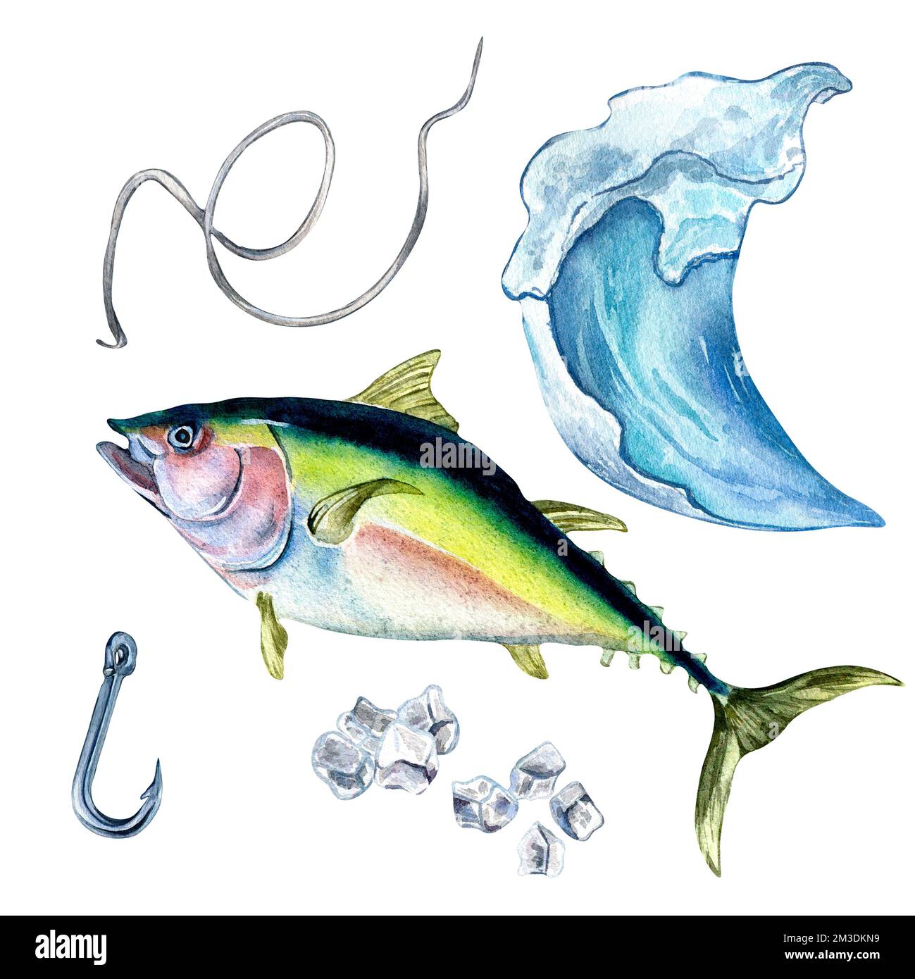 Set tuna sea wave Cut Out Stock Images & Pictures - Alamy