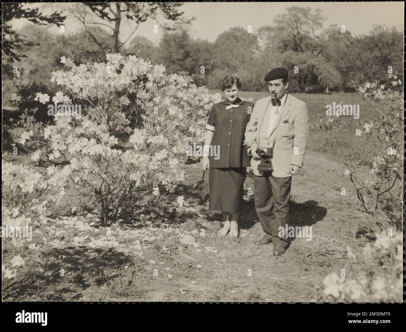 Kerop and Jean Nahabedian at Arnold Arboretum , Spouses, Flowers, Trees ...